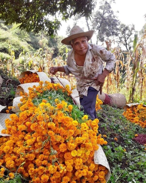 Chamba Origen y significado para el mexicano y en Centroamérica - Hola ...